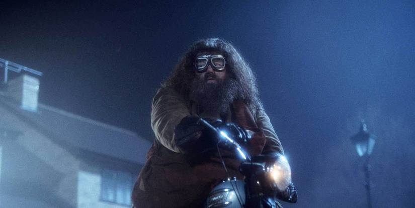 HBO's Harry Potter Season 1 MUST Include These 8 Often Ignored Sorcerer ...