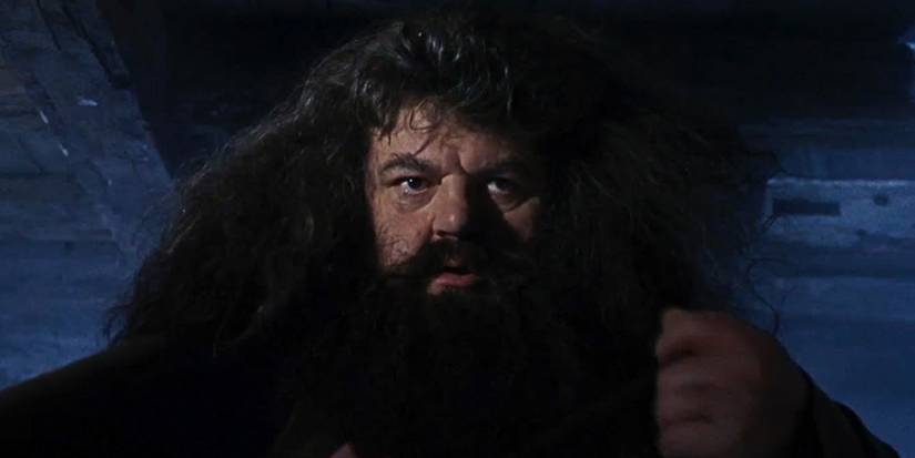 The Harry Potter Remake's Hagrid Casting Plan Gives Me Faith It Will ...