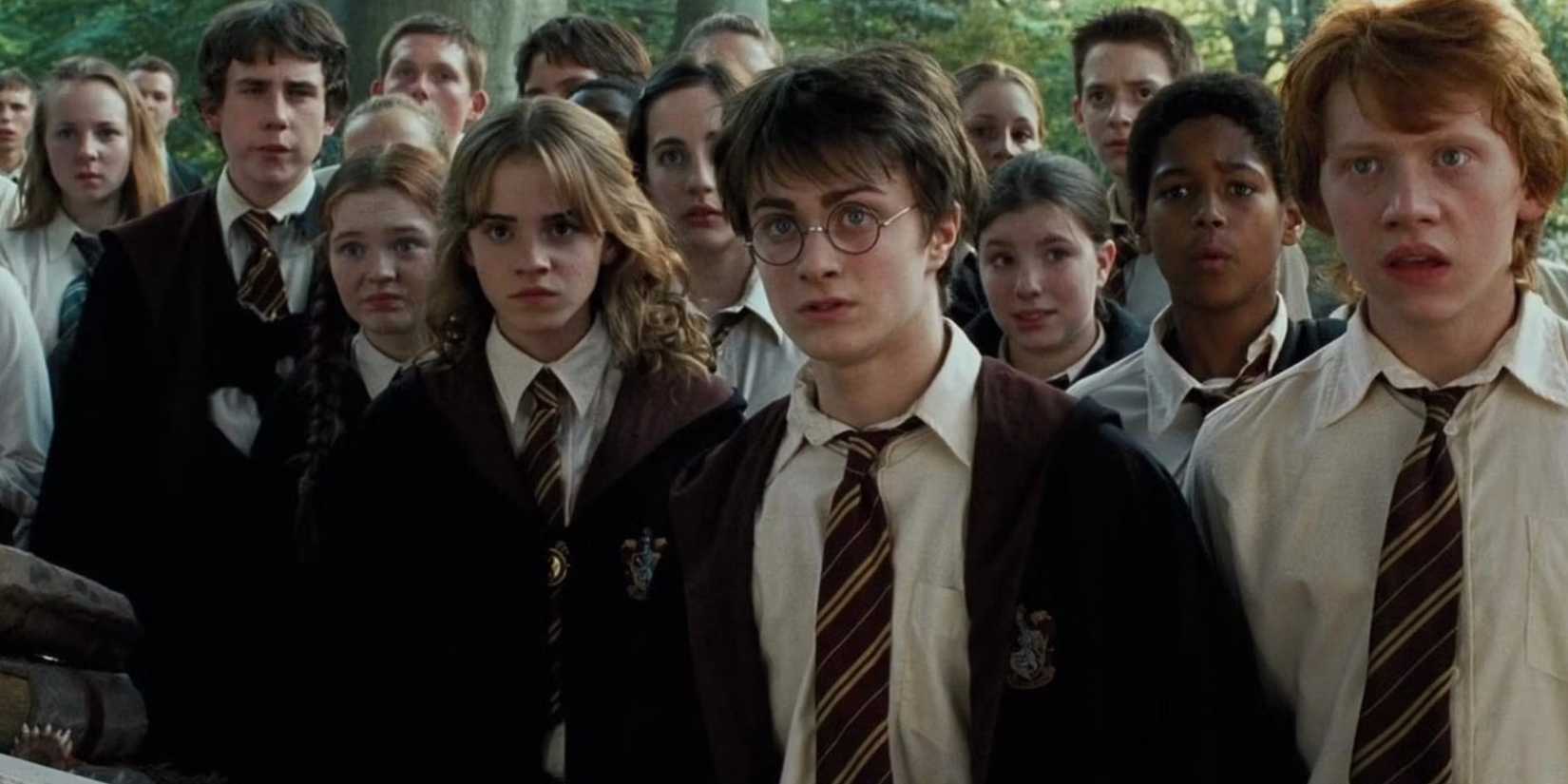Harry Potter Remake's New Sirius Black Can Finally Introduce A 26-Year ...