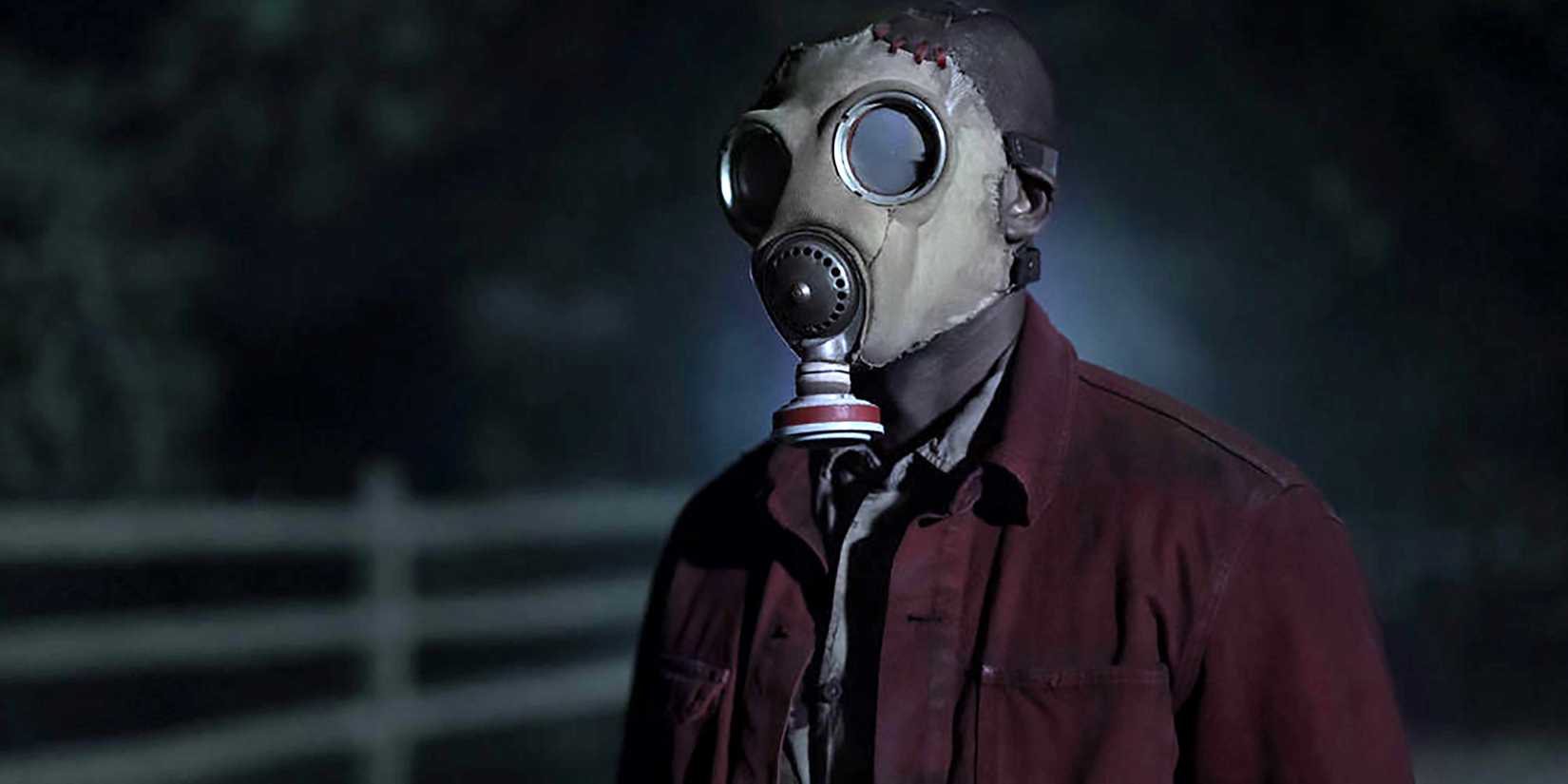 Teacup Season 2: Cancelation & Everything We Know