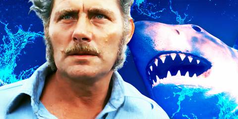 Jaws Summary, Trailer, Cast, Where to Watch and More