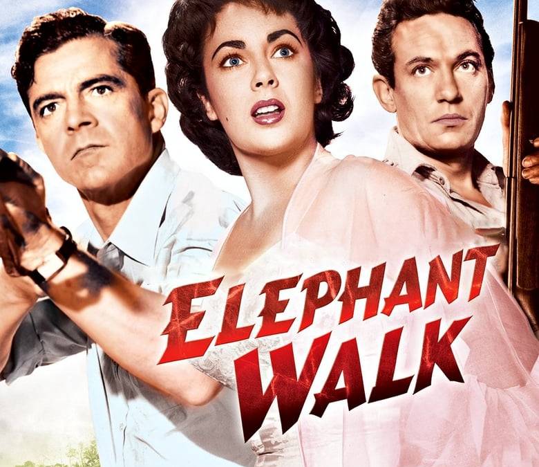 Elephant Walk Summary, Trailer, Cast, Where to Watch and More