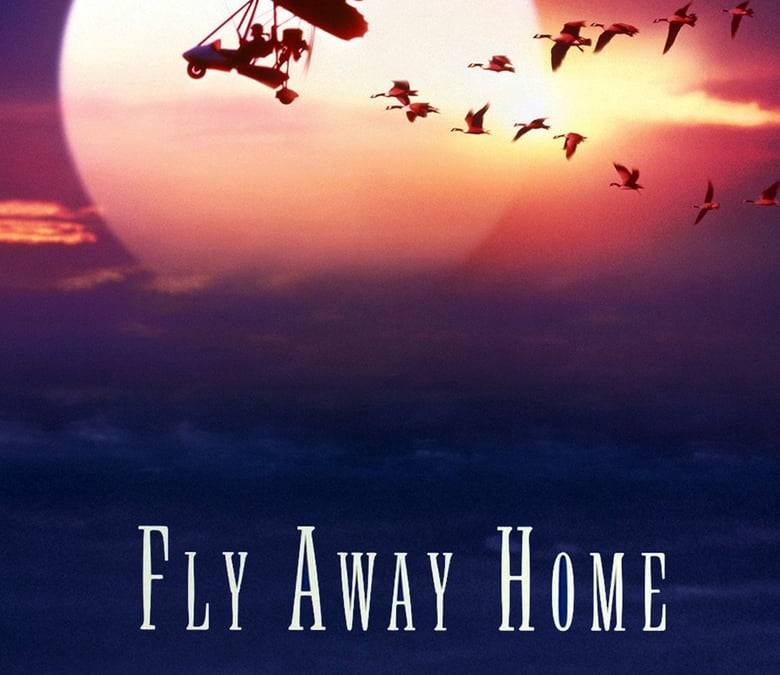 Fly Away Home Summary, Trailer, Cast, Where to Watch and More