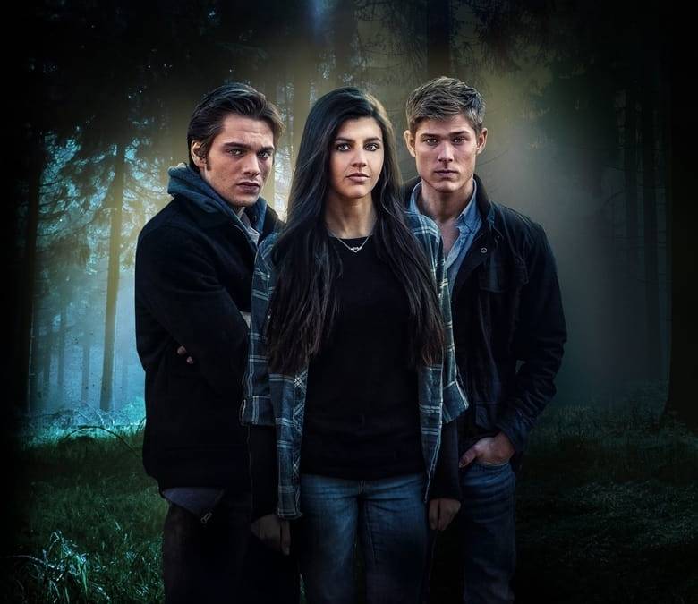 Vanished Summary, Trailer, Cast, Where to Watch and More