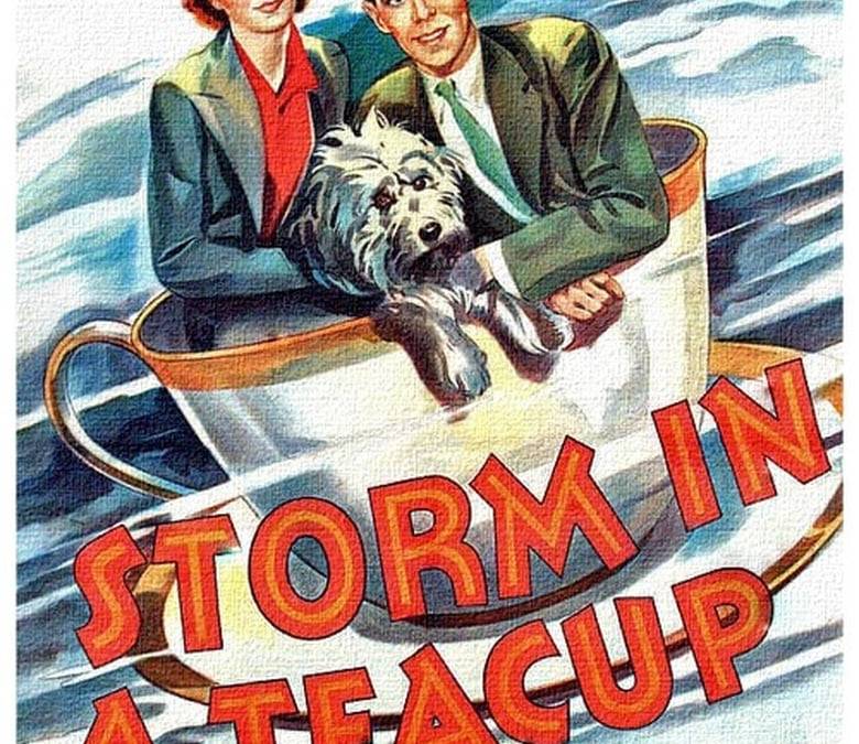Storm in a Teacup Summary, Trailer, Cast, Where to Watch and More
