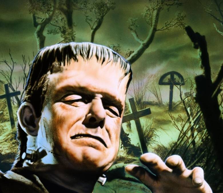 The Ghost of Frankenstein Summary, Trailer, Cast, Where to Watch and More