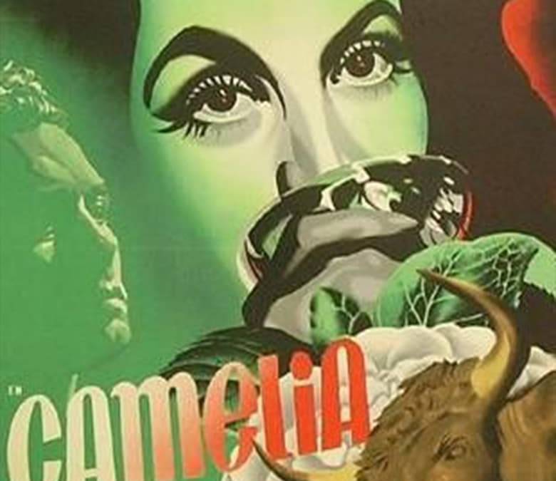 Camelia Summary, Trailer, Cast, Where to Watch and More