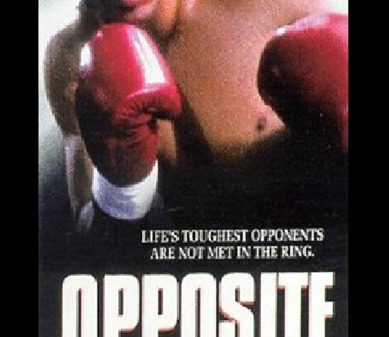 Opposite Corners Summary, Trailer, Cast, Where to Watch and More