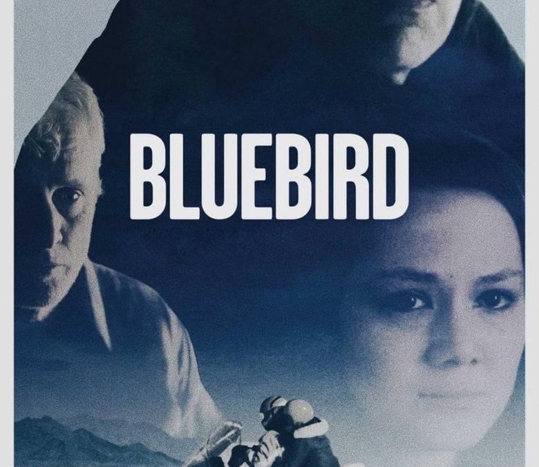 Bluebird Summary, Trailer, Cast, Where to Watch and More