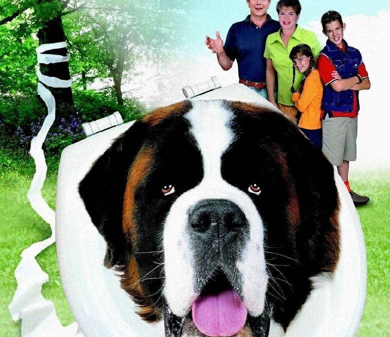 Beethoven's 4th Summary, Trailer, Cast, Where to Watch and More
