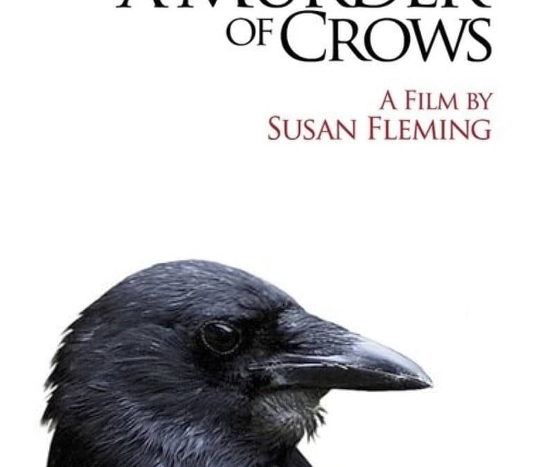 A Murder of Crows Summary, Trailer, Cast, Where to Watch and More