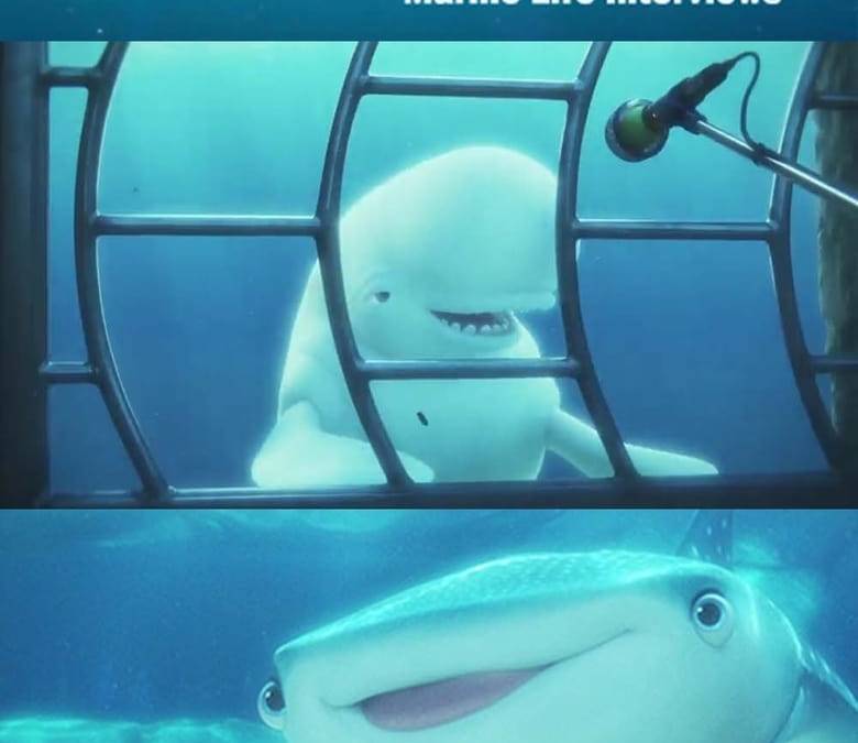 Marine Life Interviews Summary, Trailer, Cast, Where to Watch and More