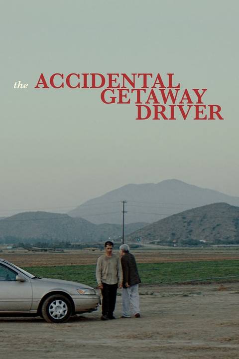 The Accidental Getaway Driver Review: I Was Deeply Moved By The ...
