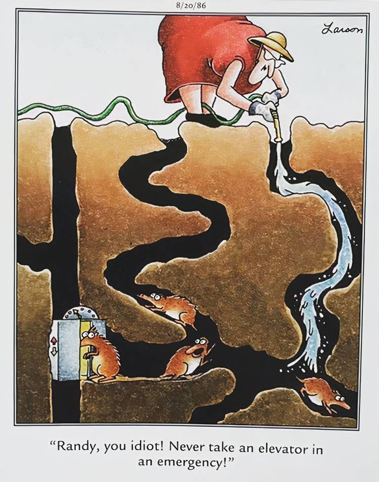 10 Funniest Far Side Comics Starring Rabbits & Moles