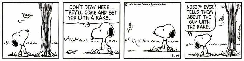 10 Funniest Peanuts Comics That Just Turned 40