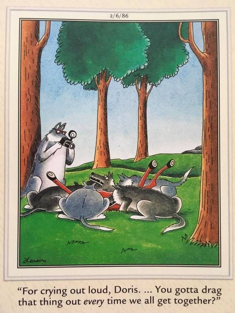 10 Far Side Comics About Predators That Will Make You Question Nature
