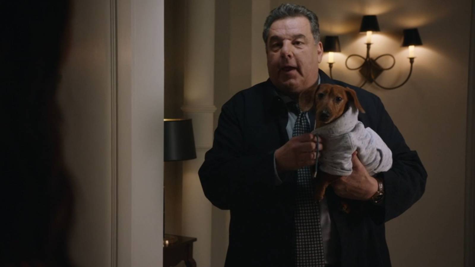 Who Is Anthony's New Dog In Blue Bloods Season 14 Episode 11? The Secret Meaning Of Willie Boy's ...