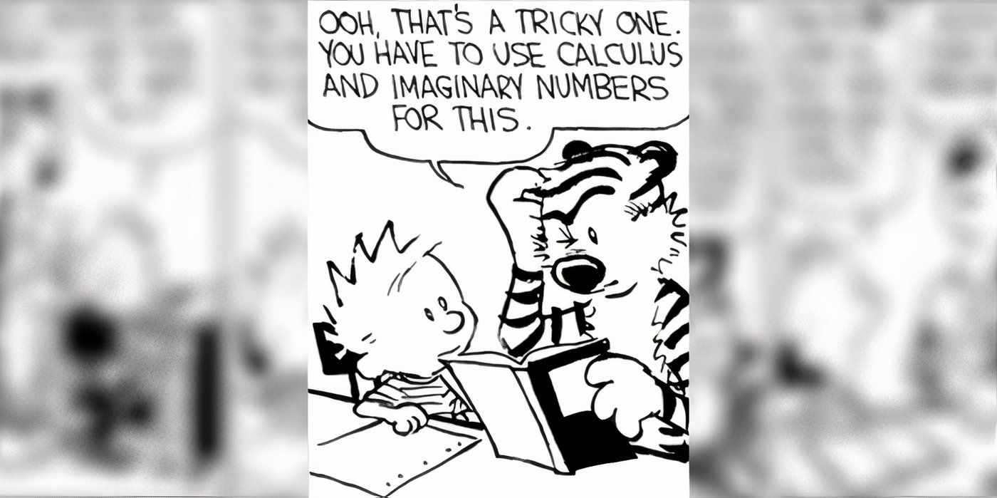 Calvin And Hobbes Comics Math