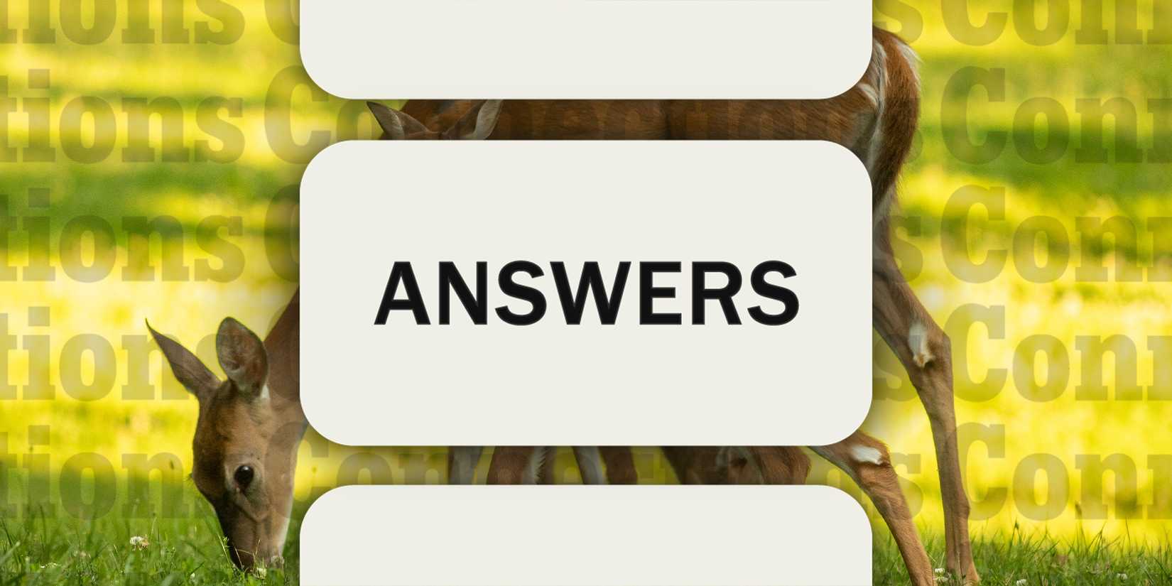 Today's Connections Hints & Answers For October 10, 2024 (Puzzle #486)
