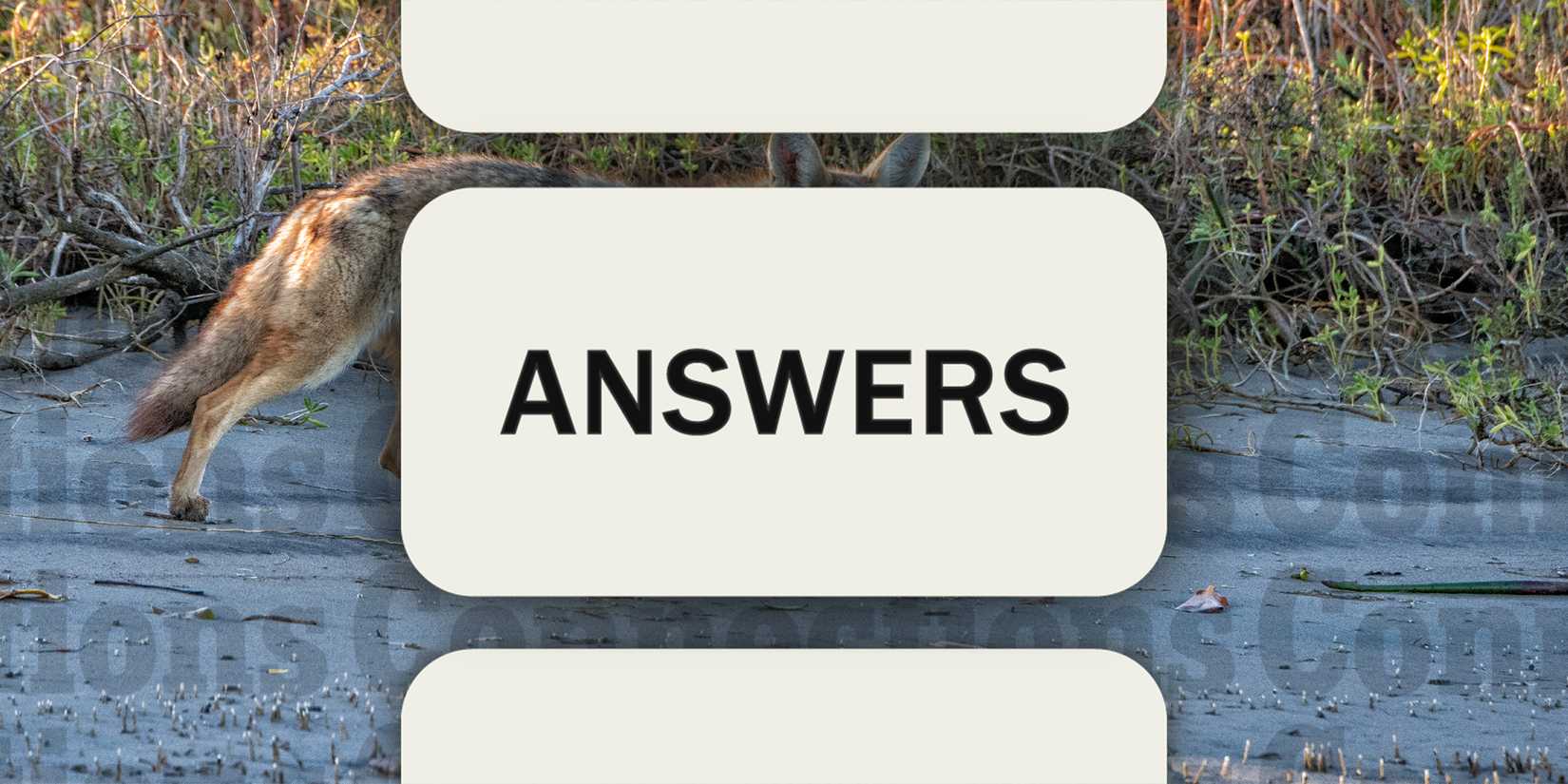 Today's Connections Hints & Answers For October 13, 2024 (Puzzle #489)