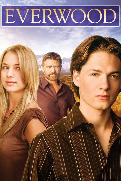 Everwood Summary, Trailer, Season List, Cast, Where to Watch and More