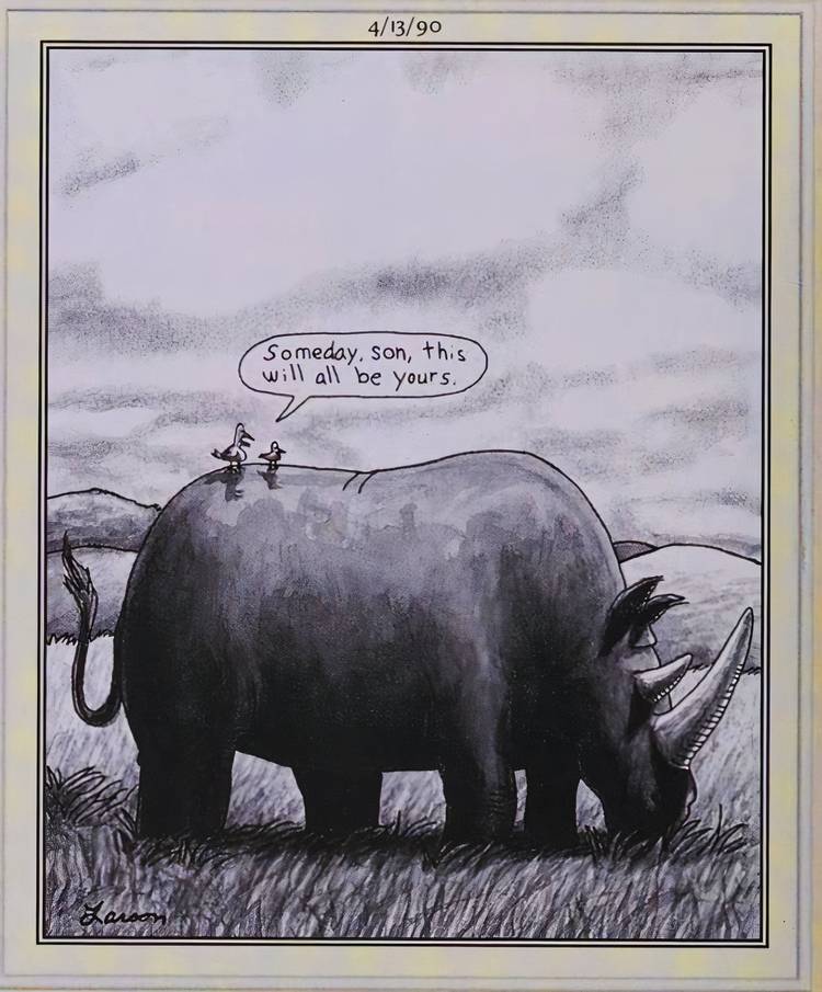 11 Far Side Comics From 1990 That Make Readers Go "What-the?"