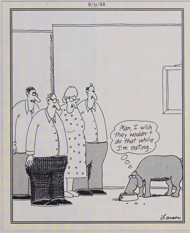 10 Far Side Comics Where Humans Act Like Animals