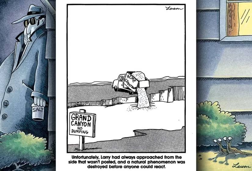 See the Far Side Comic That Represents Your US State (Gary Larson's ...
