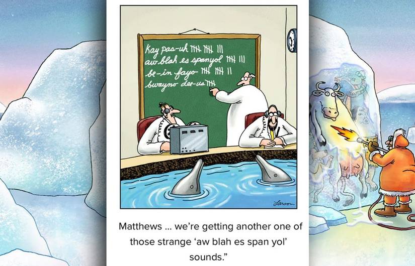 10 Funniest Far Side Comics Starring Dolphins & Whales