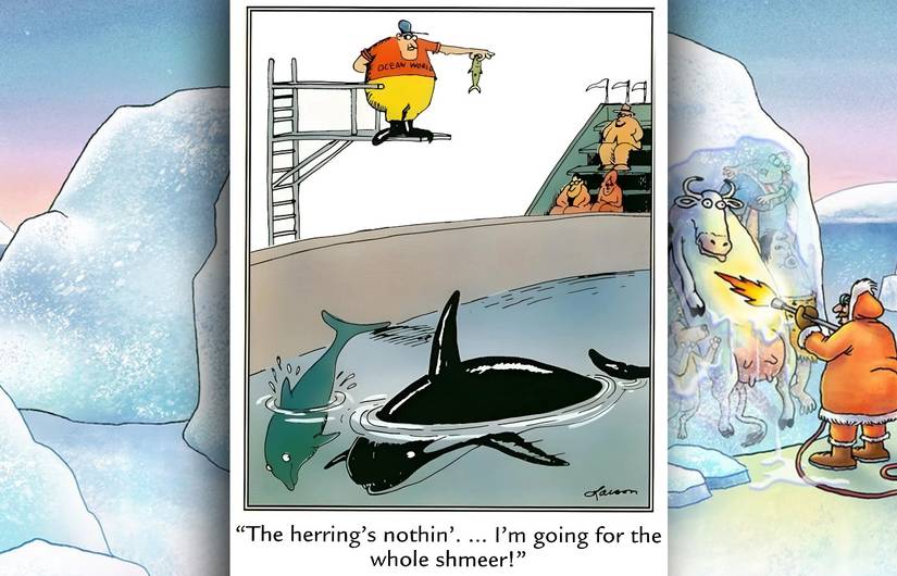 10 Funniest Far Side Comics Starring Dolphins & Whales