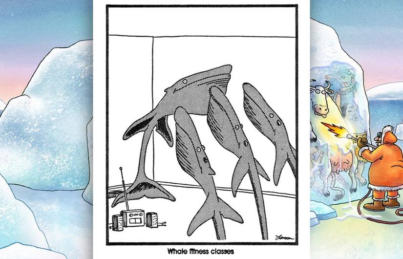 10 Funniest Far Side Comics Starring Dolphins & Whales