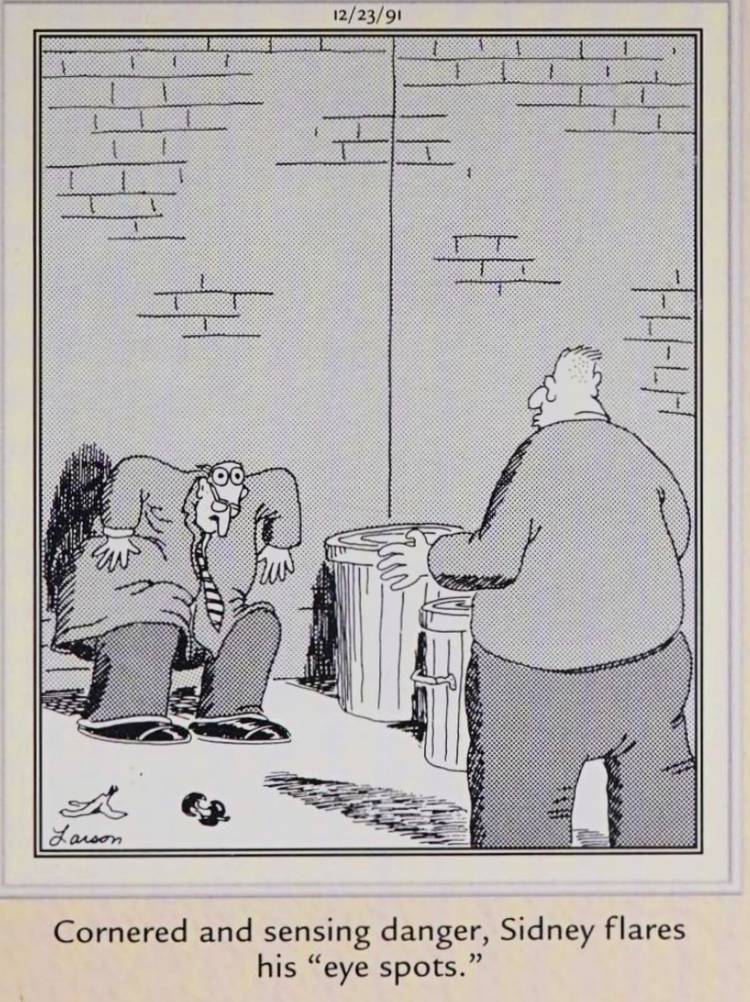 10 Far Side Comics Where Humans Act Like Animals