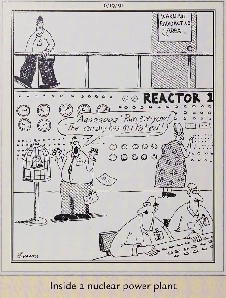 9 Hilarious Far Side Comics About Parrots & Other Pet Birds