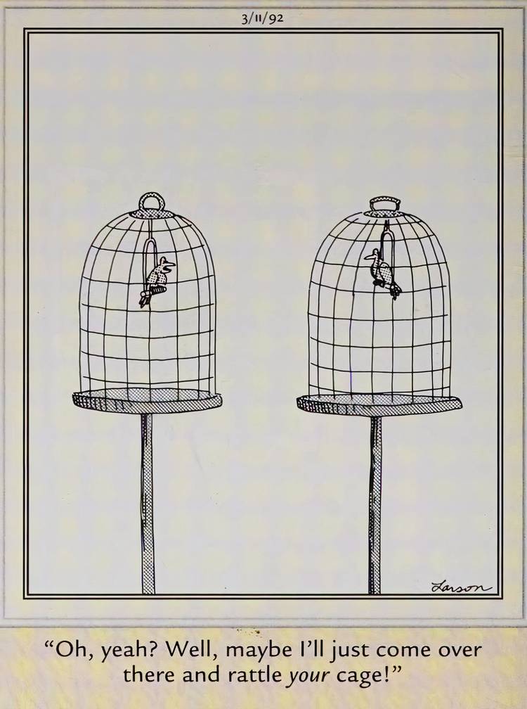 9 Hilarious Far Side Comics About Parrots & Other Pet Birds