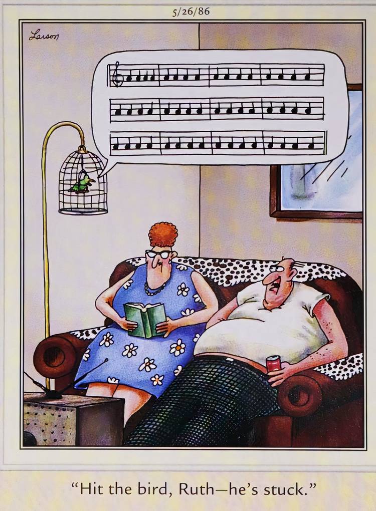 9 Hilarious Far Side Comics About Parrots & Other Pet Birds