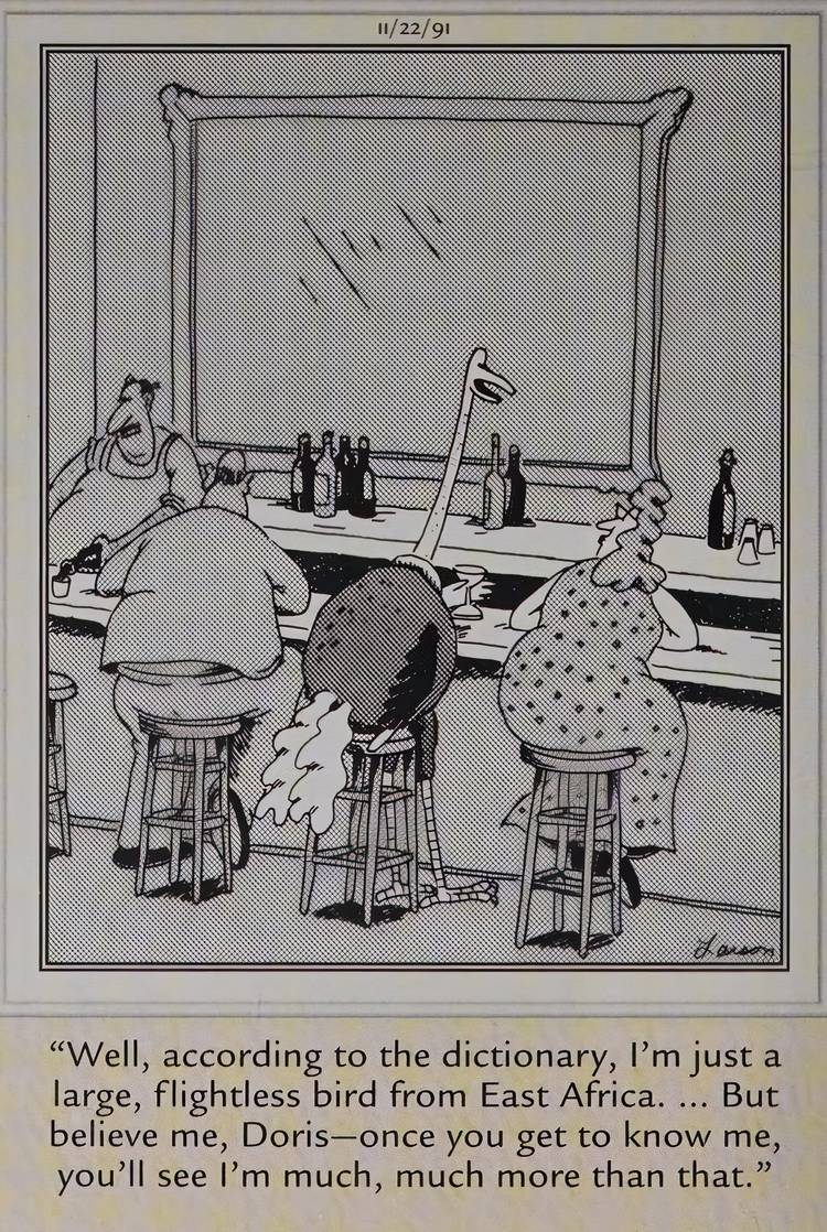 Bottoms Up! 10 Hilarious Far Side Comics All About Bars