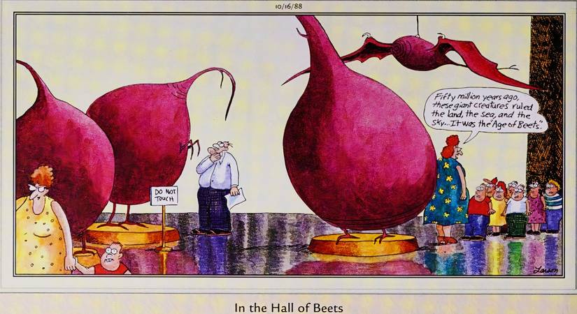 10 Far Side Comics That Turn Museums & Zoos Upside Down