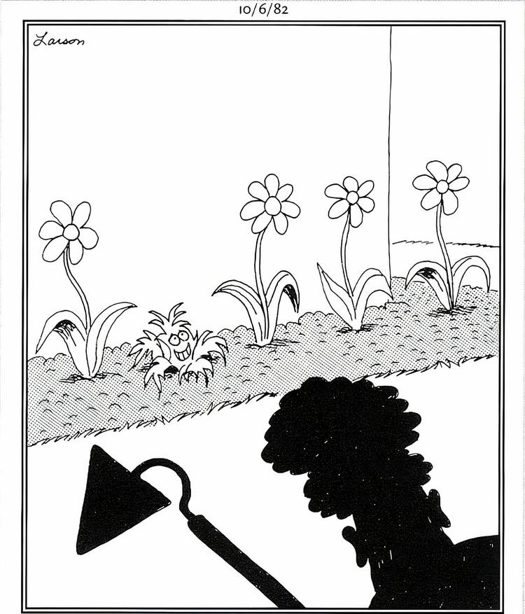 10 Thought-Provoking Far Side Comics That Challenge Society's Flaws