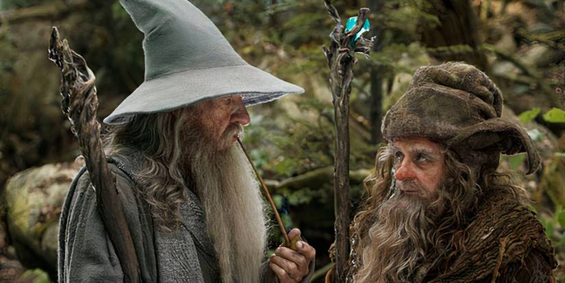 What Happened To Radagast The Brown After Sauron's Defeat In Lord Of ...