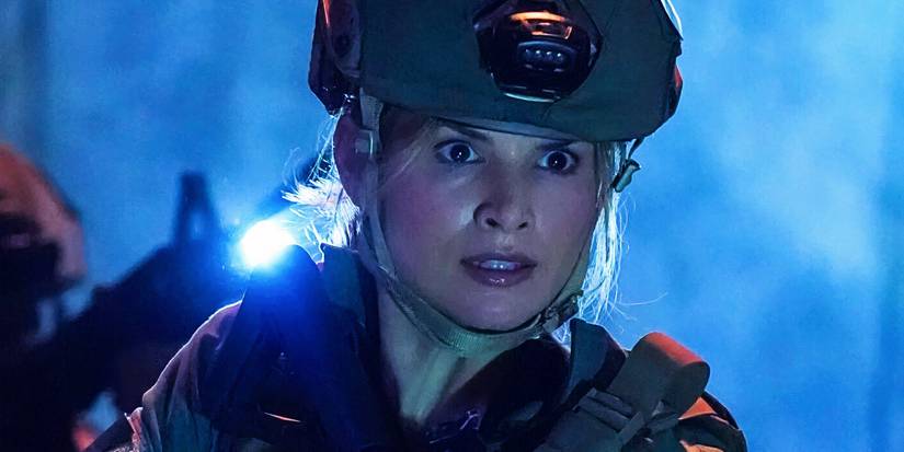 Who Is NCIS Season 22's Villain, Gabriel LaRoche? Seamus Dever's New ...