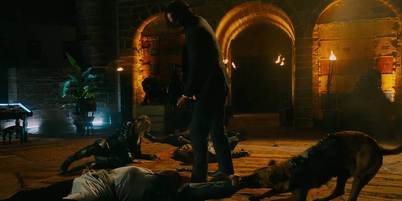 John Wick 3’s Dog Training Took Longer Than The Movie’s Shooting ...