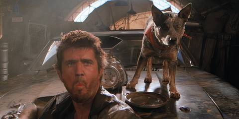 The Road Warrior Summary, Trailer, Cast, Where to Watch and More