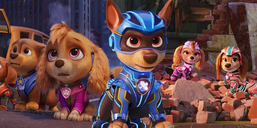 Every PAW Patrol Character & Their Dog Breed, Explained