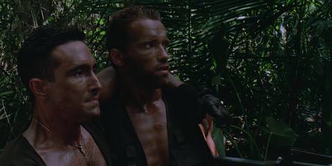Predator Summary, Trailer, Cast, Where to Watch and More