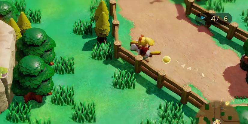 The Legend of Zelda: Echoes of Wisdom - How To Beat The Flag Race Short ...