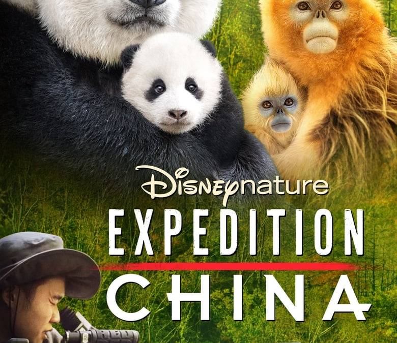 Expedition China Summary, Trailer, Cast, Where to Watch and More