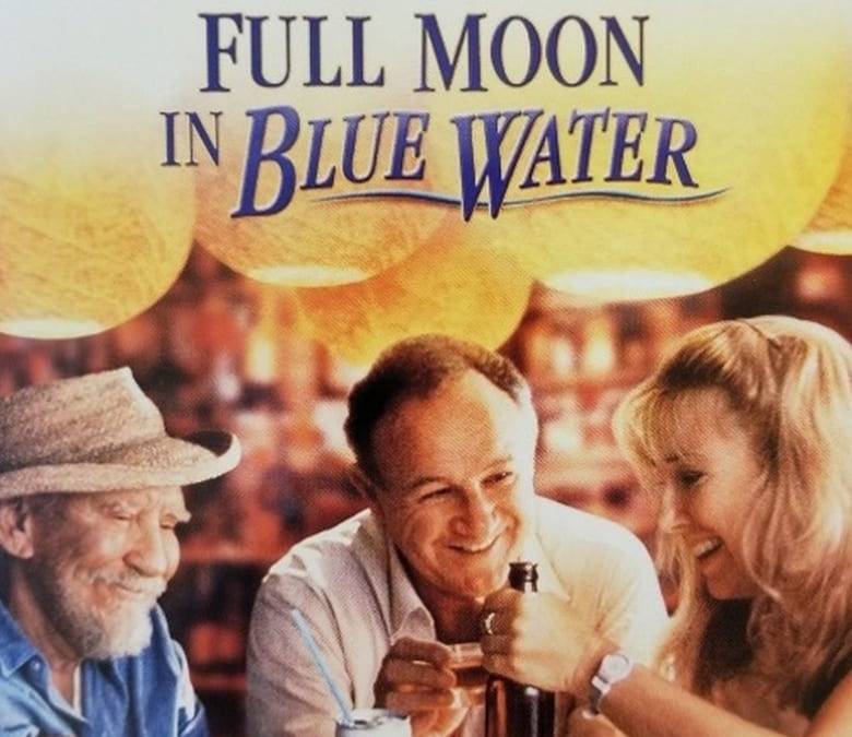 Full Moon in Blue Water Summary, Trailer, Cast, Where to Watch and More