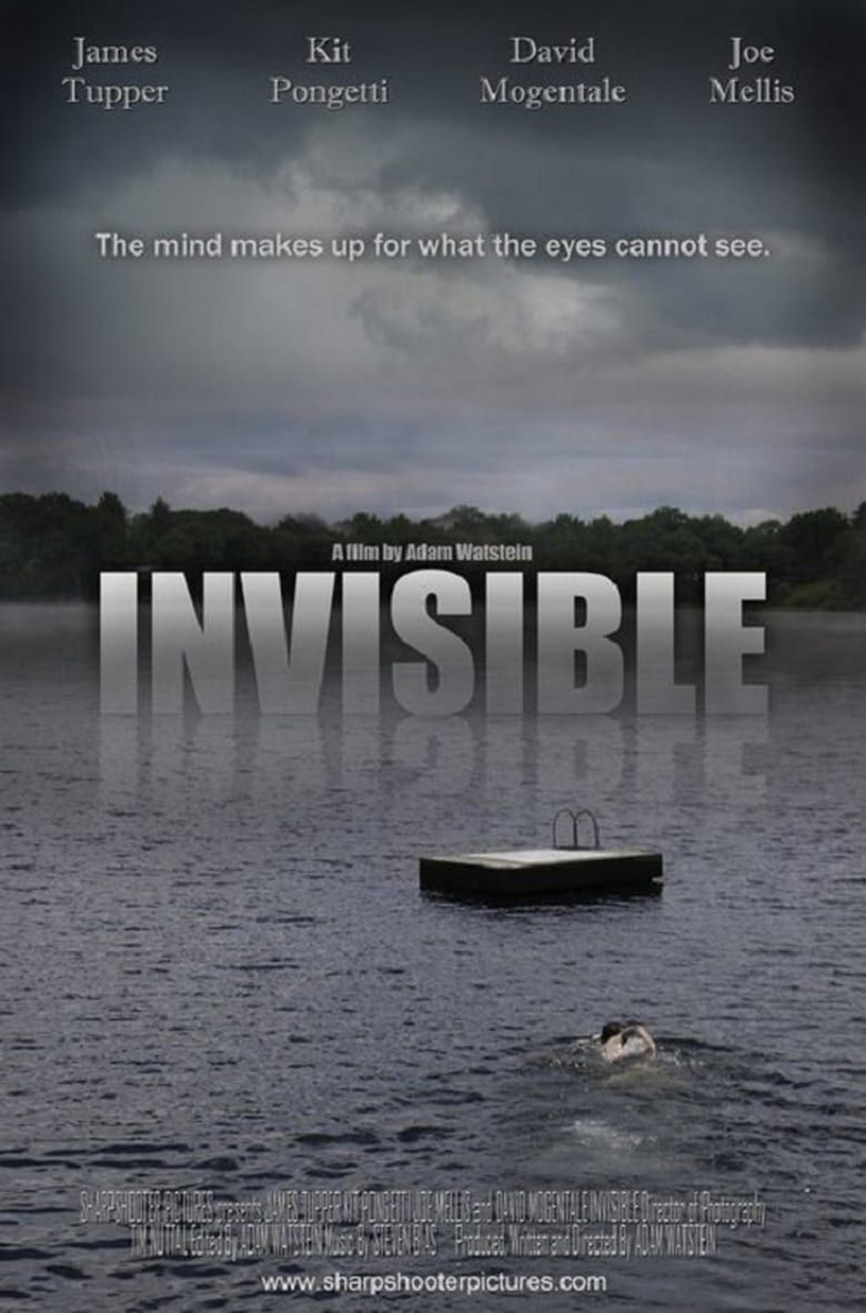 Invisible Summary, Trailer, Cast, Where to Watch and More