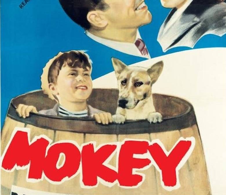 Mokey Summary, Trailer, Cast, Where to Watch and More