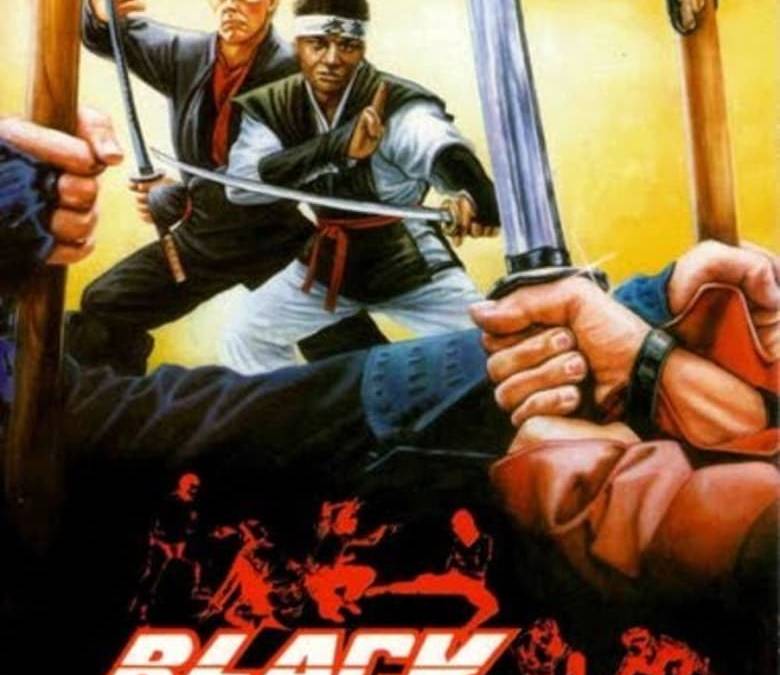 Ninja Silent Assassin Summary, Trailer, Cast, Where to Watch and More